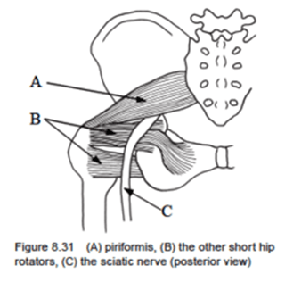 PhysioPrescription - Effective Injury Rehab